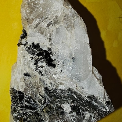 250-400 Million Year Old Honeycomb Coral Fossil With Black Flint and ...