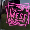 Hot Mess Express SVG | Hot Mess Mom Svg | Hot Mess Moms Club Svg ...