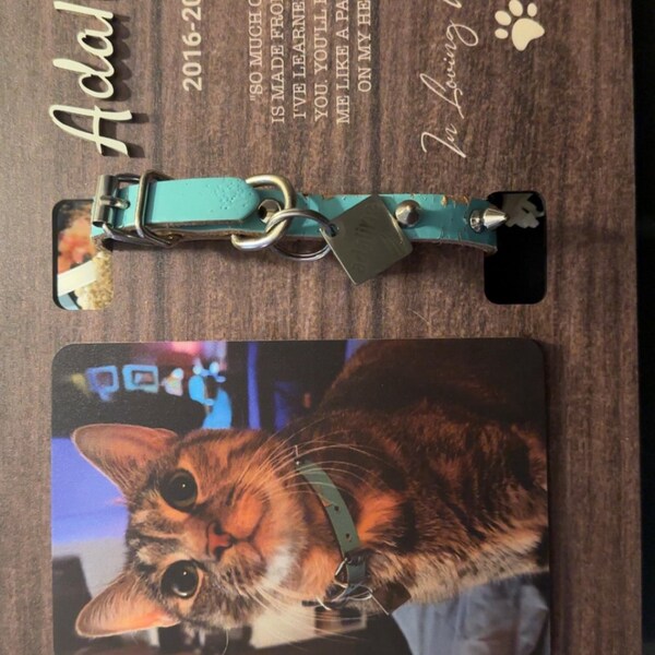 Custom Pet Collar Memorial Plaque, Personalized Dog Cat Memorial Sign ...