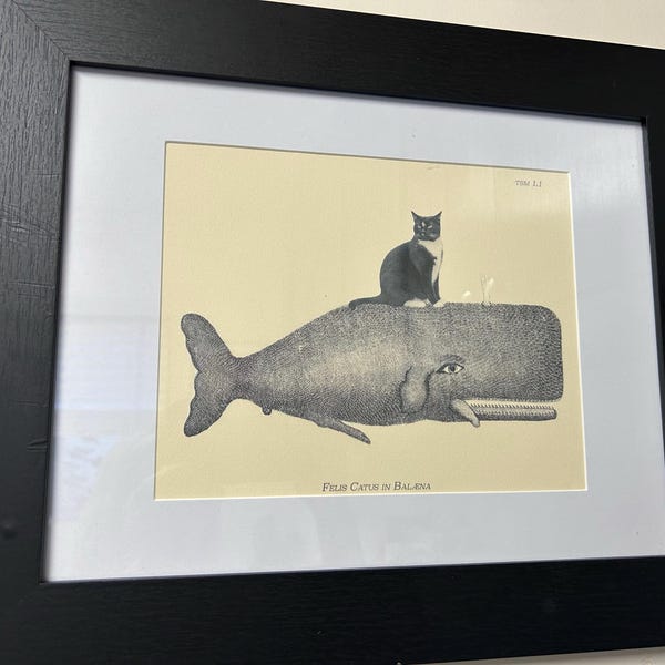 American Eskimo Dog Riding Whale Vintage Collage Print Tea Stain Dog ...