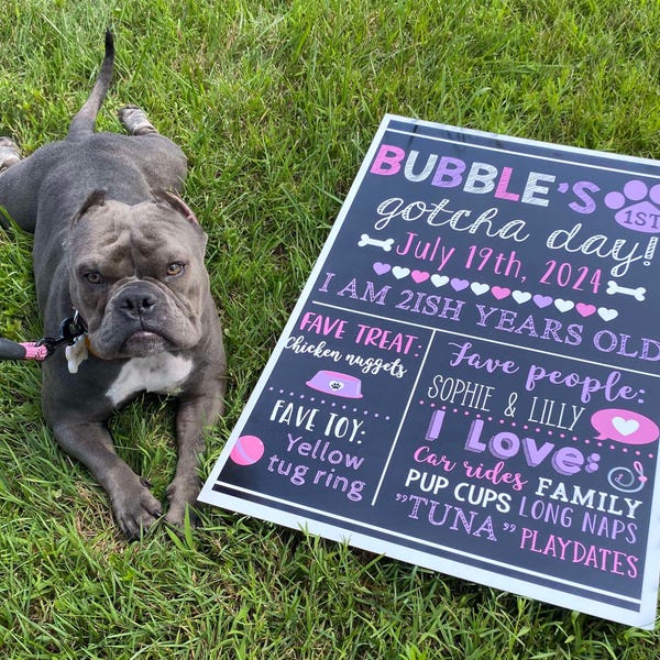 Editable Teacher Name Sign Template Classroom Decor Neutral Rainbow ...