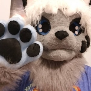 Fennec Fox Fursuit Partial, Fox Fursuit Head, Premade Fursuit - Etsy