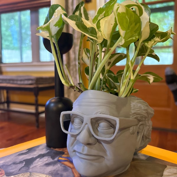 Horror Movie Planters for House Plants and Succulents - Etsy