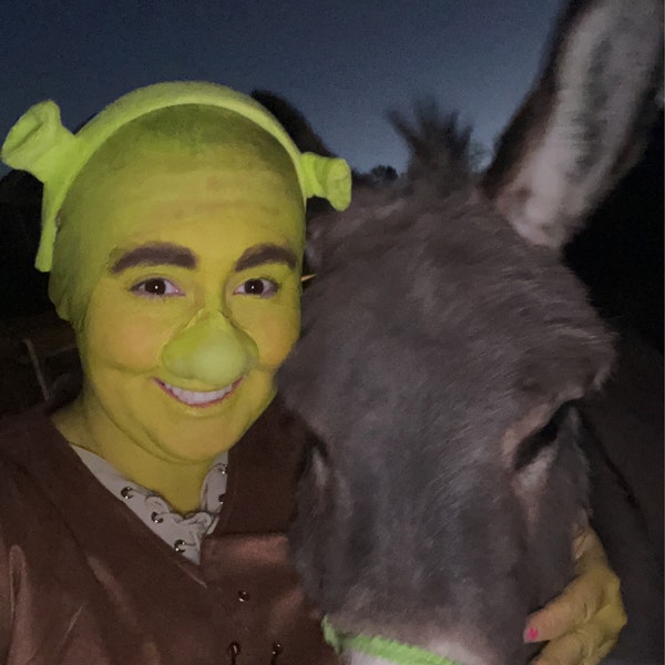 SFX Large Ogre, Shrek Nose, Troll, Dwarf Silicone Prosthetic | Shrek ...