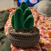 Egg Carton Crochet Pattern! PATTERN ONLY! PDF Download Amigurumi ...