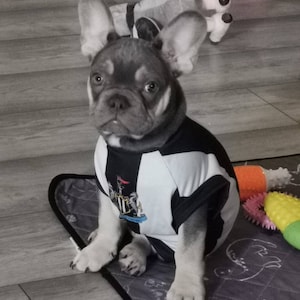 Barcelona Personalised Pet Tank Top FC 23/24 With Original FC Logo dog ...