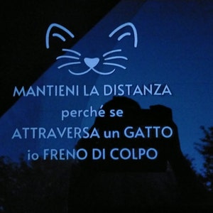 Funny Cat Car Decal, Keep Distance, Personalized Colors - Etsy