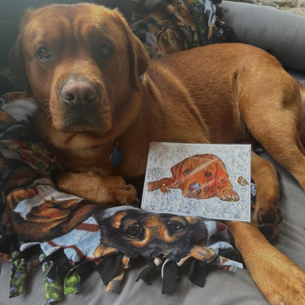 Fox Red Labrador Anniversary Card - Etsy