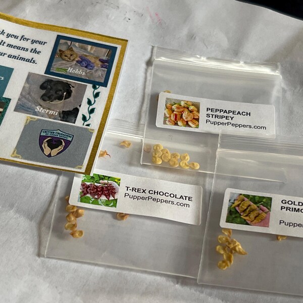 Purple Peach Carolina Reaper Rare Pepper Seeds Premium Packet - Etsy