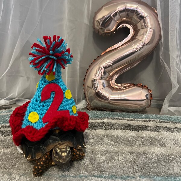 Birthday Hat Costume for Turtles/tortoises - Etsy