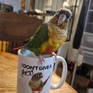 Sun Conure Mug, Sun Conure Raptor Mug, Sun Conure Mother Mom Father Dad ...