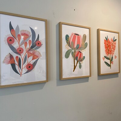 A Set of 3 Australian Native Flower Art Prints Home Decor - Etsy