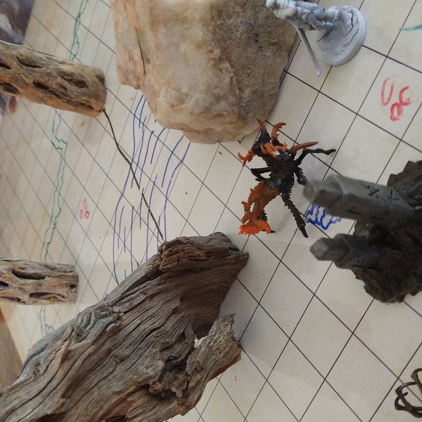 Dnd Ankheg Sentry Miniature Dnd Giant Insect Spider Miniature | 50mm ...