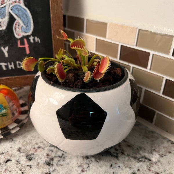 Soccer Ball Ceramic Planter, Sports Fan Flower Pot Bowl, Athletic ...