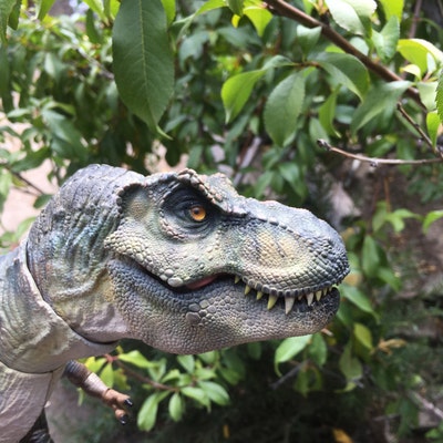 HC JP T-rex Upgrade Head by Marco Makes - Etsy
