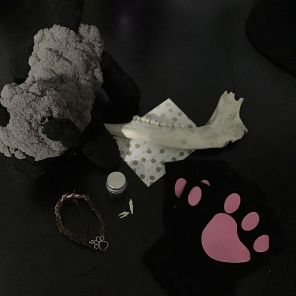 Therian and Otherkin Care Package Mystery Boxes - Etsy