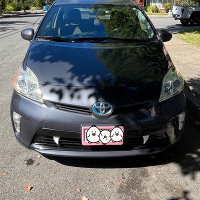 Universal Car Vampire Teeth / Bumper Fangs / Halloween Car Decoration ...