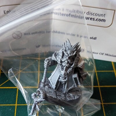 High Fantasy Big Cat / Classic Fantasy Figures RPG - Etsy UK