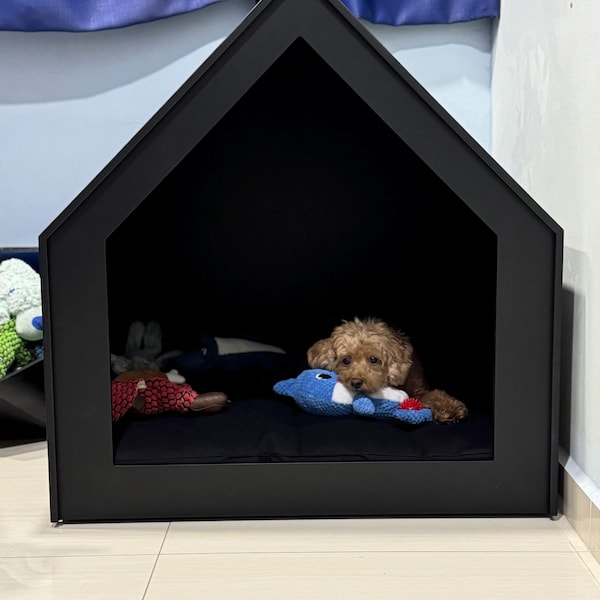 Fully Transparent Modern Dog and Cat Crate With Acrylic Sides Petso ...