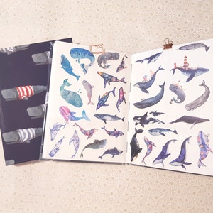 Sea Animals Stickers, Seashells Stickers, Sea Creatures Stickers ...