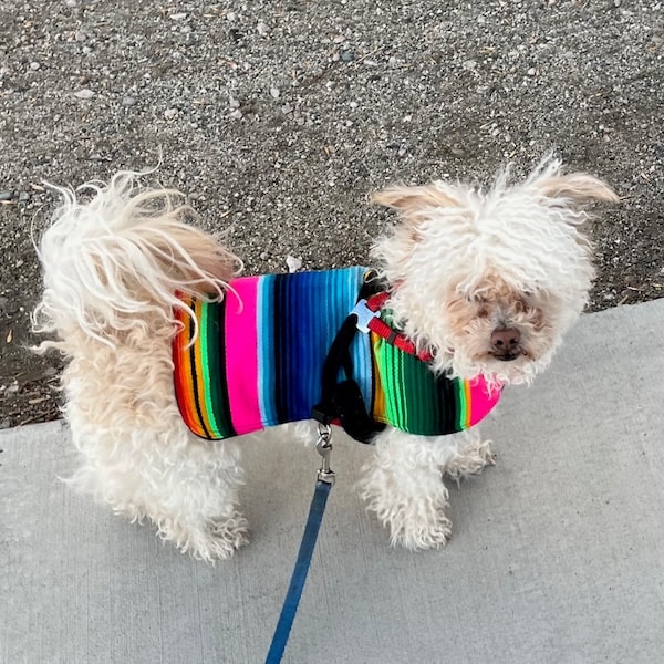 Dog Clothes - Pink Handmade Dog Apparel From Authentic Mexican Blanket ...