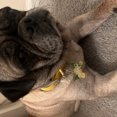 Matching Dog Tags and Keychain Custom Dog Tag Resin Dog Tag Glitter ...