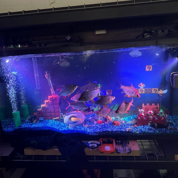 Super Mario Brothers Inspired Castle Flag for Your Desk or Aquarium - 4 ...