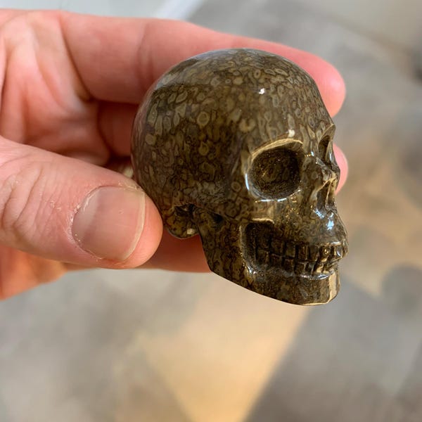 3.5" Fire Dragon Palm Tree Tagua Nut Carving for Passion, Energy ...