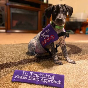 1 Patch IGNORE ME 8 inches x 3 inches Sew on customizable | Etsy