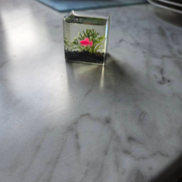 Miniature Clay Axolotl Smiling in the Tank - Etsy
