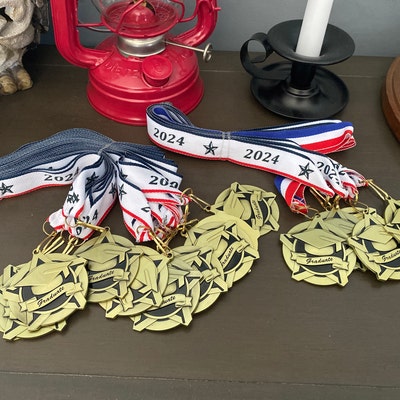 Toilet Trophy or Award, Last Place, Loser, Worst Job, Crappiest ...