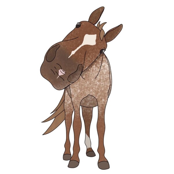 Customizable Head Tilt Horse Sticker Personal Decal Gift for Equestrian ...