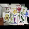 INSECTS 16 Montessori Cards / Bilingual Cards / Nomenclature Flashcards ...