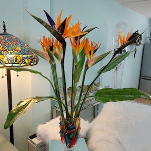 6 Real Touch Angel Trumpet Flowers - Etsy