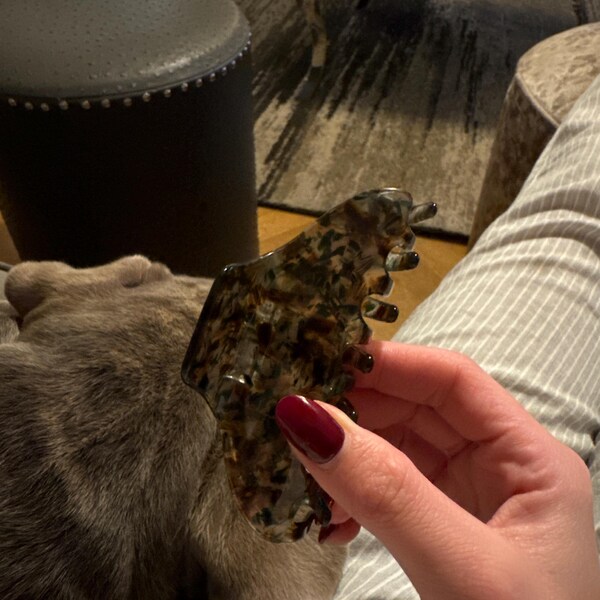 Middle Size 7.5cm Shell Shape Hair Claw, Spring Colour Cellulose ...