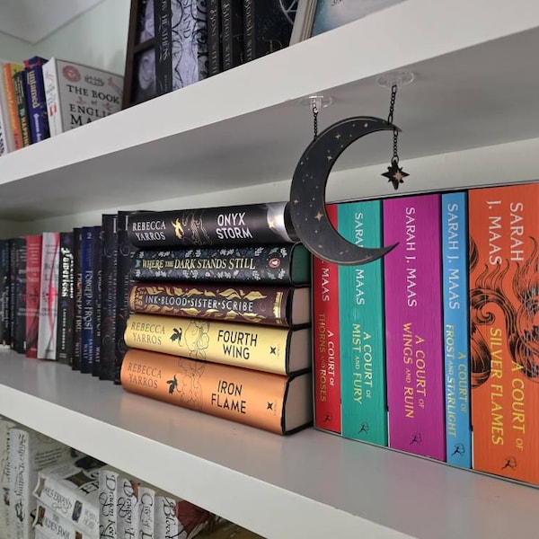 Romantasy Bookcase Sign, Romantasy Bookshelf Sign, Wooden Bookish ...