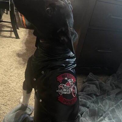 CUSTOM Dog Motorcycle Jacket Biker Dog Jacket Embroidered Motorcycle ...