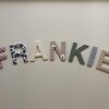 Chunky Floral Wall Letters Nursery Art Kids Decor Neutral Nursery Wall ...