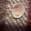 Bleeding Teeth Nerite Seashells for Crafts, Weddings, Favors, Gift ...