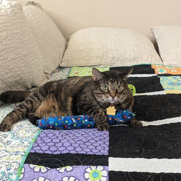 Sir Reginald Kick Stick, Cat Toy, Organic Catnip Kicker Toy - Etsy