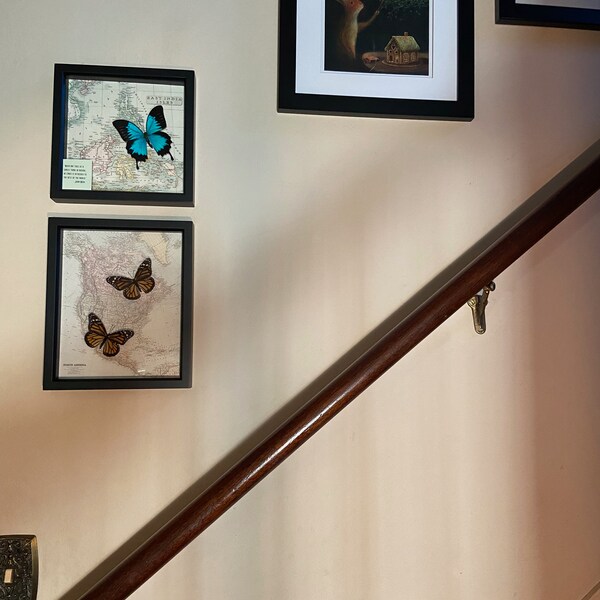 Monarch Migration Framed Map Butterfly Art - Etsy