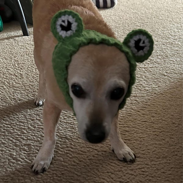 Crochet Pattern 051 Fox Cozy Coffee Cup, Crochet Fox Coffee Sleeve ...