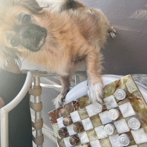 Green Onyx Checkers Set: Handmade Marble Board Game With Storage Case ...