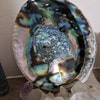 Wooden Stands for Abalone Shells Medium Large - Etsy