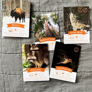 Printable Nature Journaling Cards - Etsy