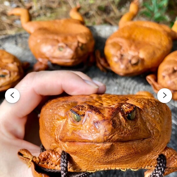 Rootin’ Tootin’ Mini Harmonica Accessory for Real Cane Toad Leather ...