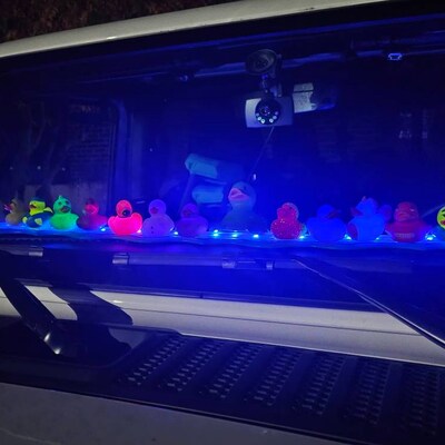 Duckwood LED , the Original LED Duck Bar - Etsy