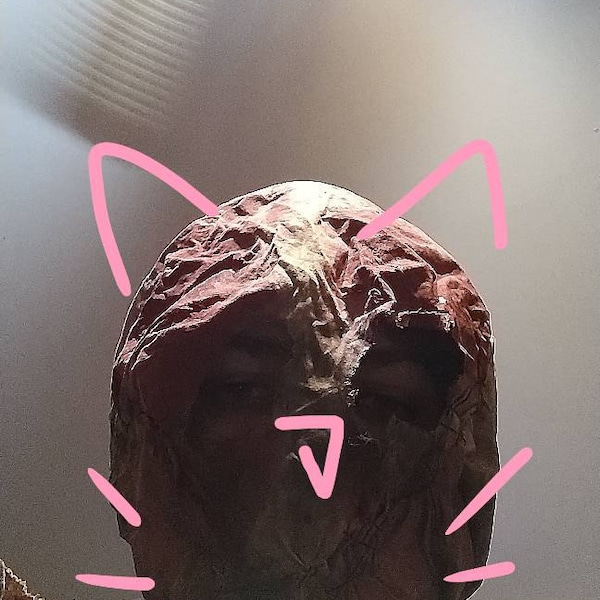 Human Skin Mask (latex Masks) - Etsy