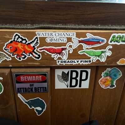 Paper Fish Tank DIY PAPER CRAFT Kids Art Tropical Fish Pet Aquarium ...