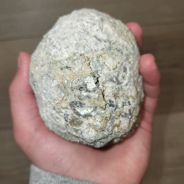 Large Rare Unopened Trancas Geode Large Unopened Geode Specimen From ...